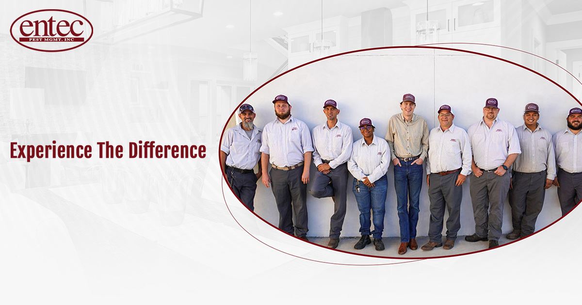 Quality Pest Control In Central Texas | Entec Pest Management